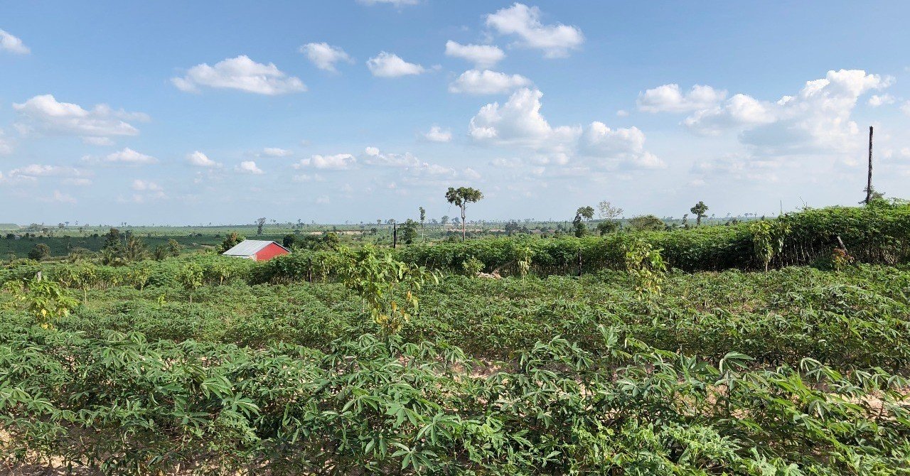 インターン生の声【Field Trip Day1】｜AGRIBUDDY🇰🇭🇮🇳カンボジア発のフィンテックベンチャー｜note