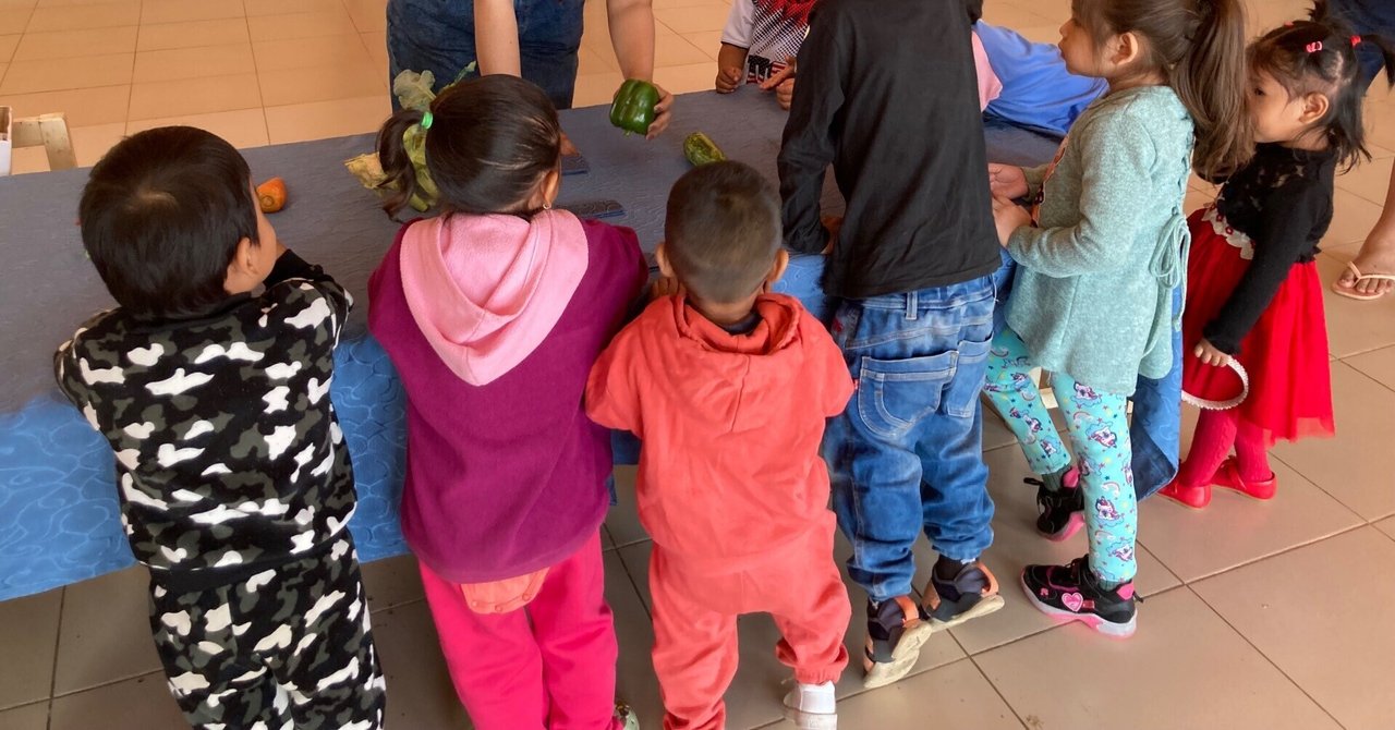 野菜あそび｜risako.n