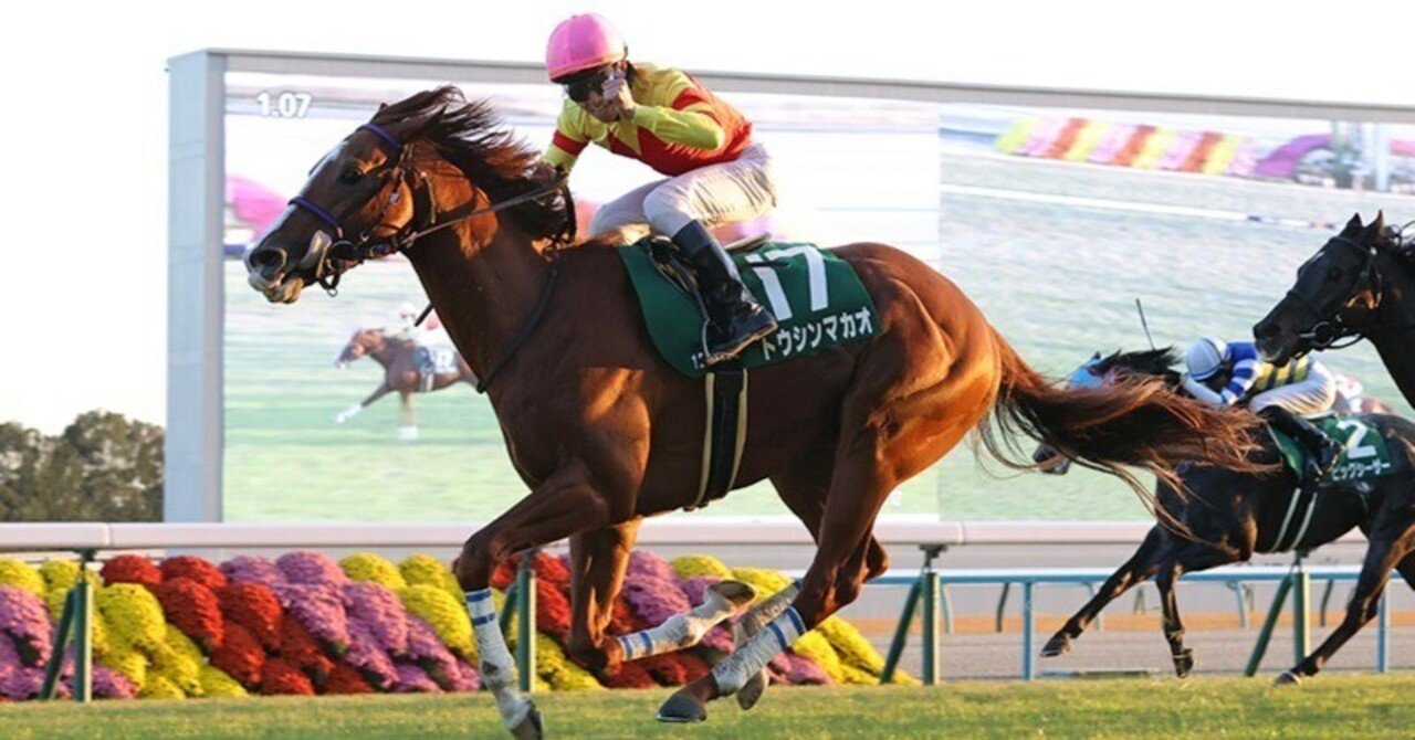 【2024 京阪杯（g3）】日刊馬番コンピ指数分析予想篇｜haya