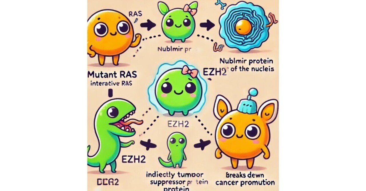 変異RAS→核タンパク質EZH2プロセス→腫瘍抑制タンパク質DLC1の分解→がん促進｜Makisey