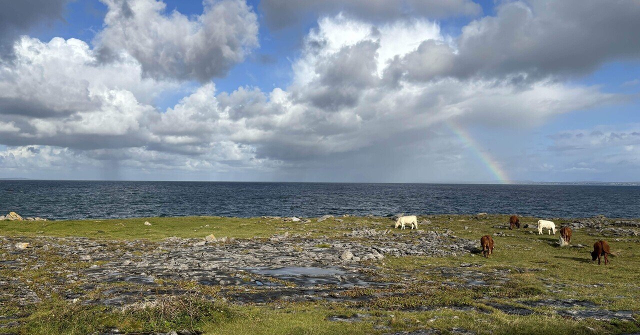 【私が目指すところ】｜karin