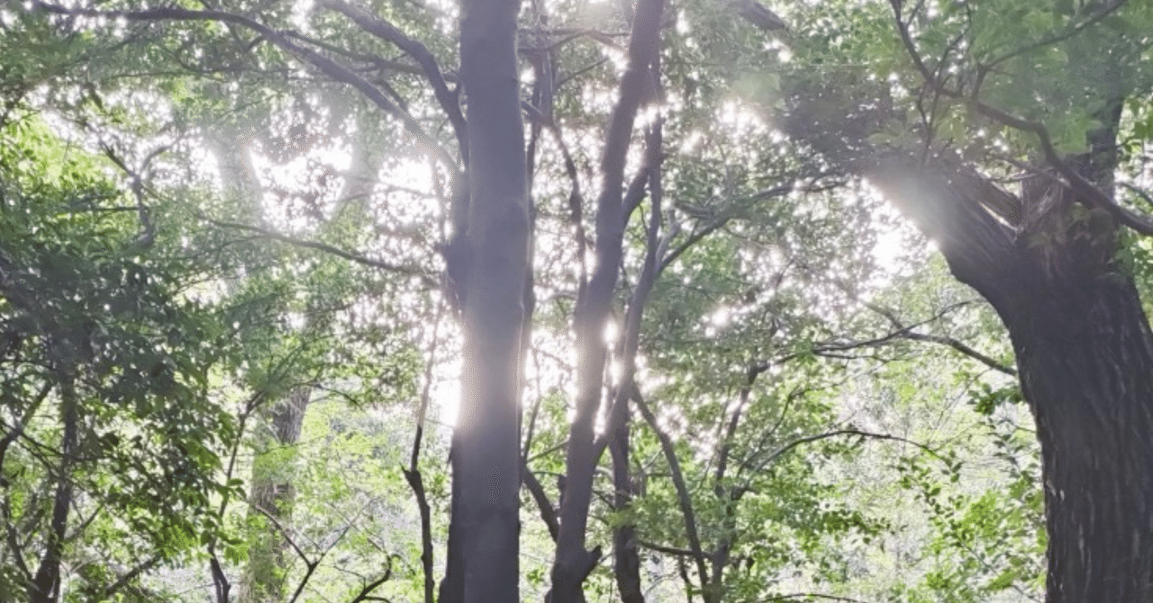 繊細であること｜Anzu Yamabe