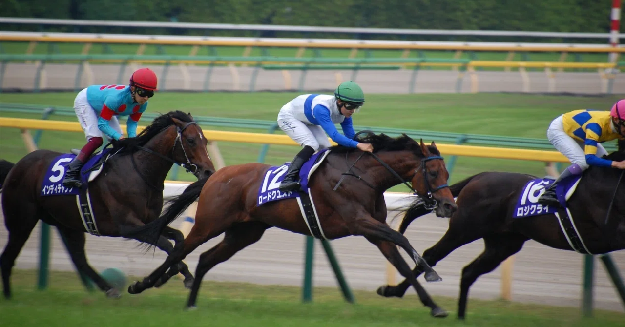 ロードサラブレッドオーナーズ2024募集馬(2023年産)AI馬体診断｜Koji Maeda