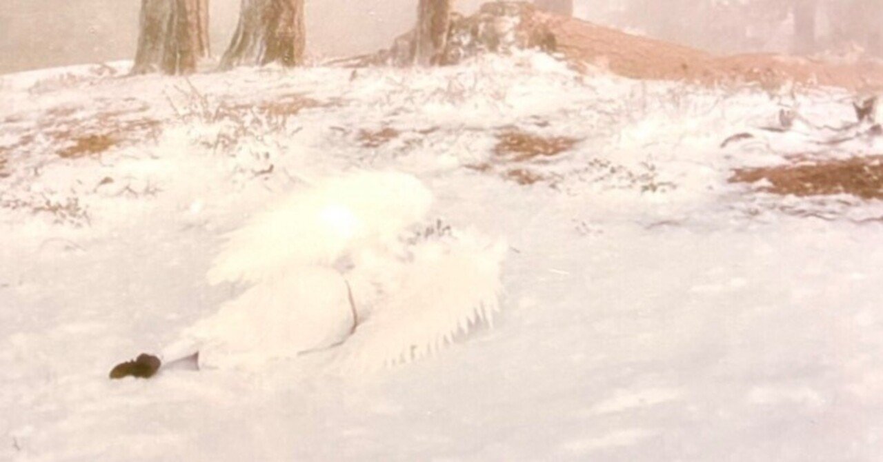 Wisp / Pandora (2024)｜Supernova_m_a