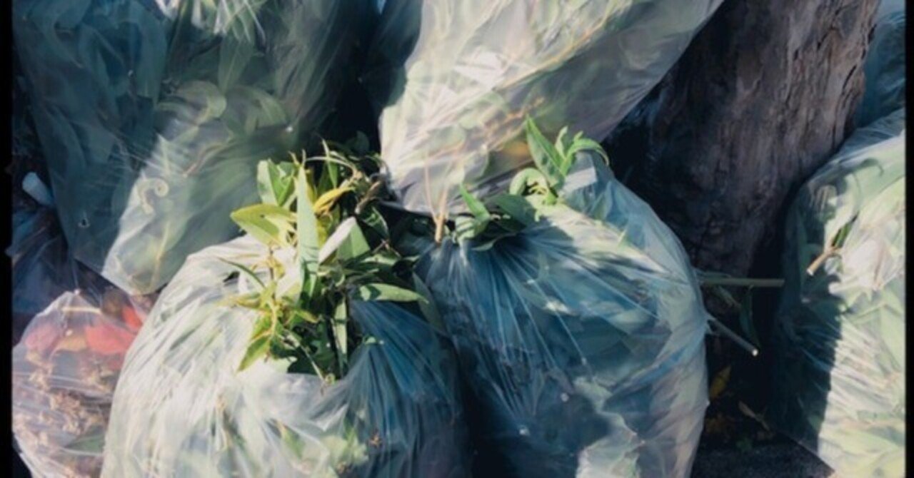 庭木の手入れ｜charu_mobile