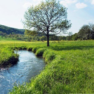 たった200行のコードで5,000万円を稼いだ元素人から素人へ。わかりやすい仮想通貨BOT入門。｜モイ