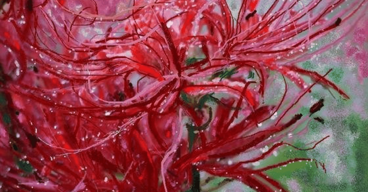 三千世界の鴉を殺し、主と朝寝がしてみたい｜きょうの