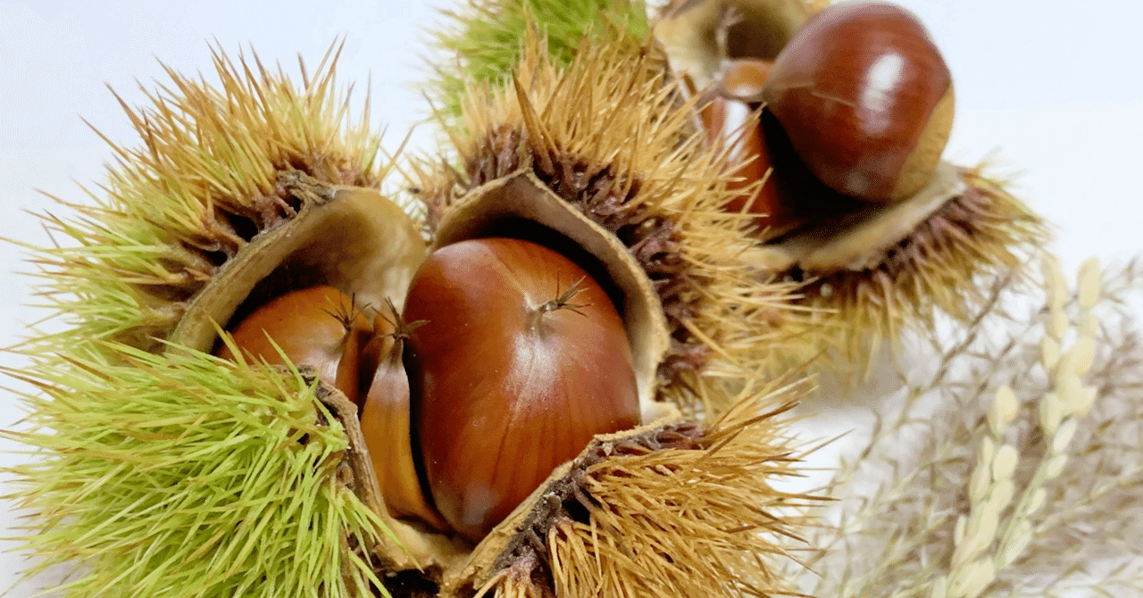 Windows版Indesignで、ドキュメントと同階層のLinksフォルダをワンクリックで開くスクリプト｜azk_azukisan