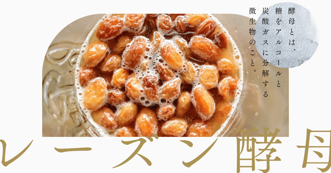 満ちてるごはん☆彡EXIT RIE｜note