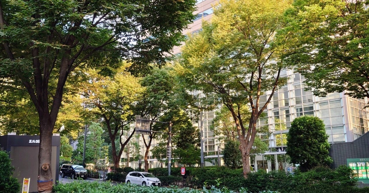 【連載小説#41】（六回目）｜shichi_mibu