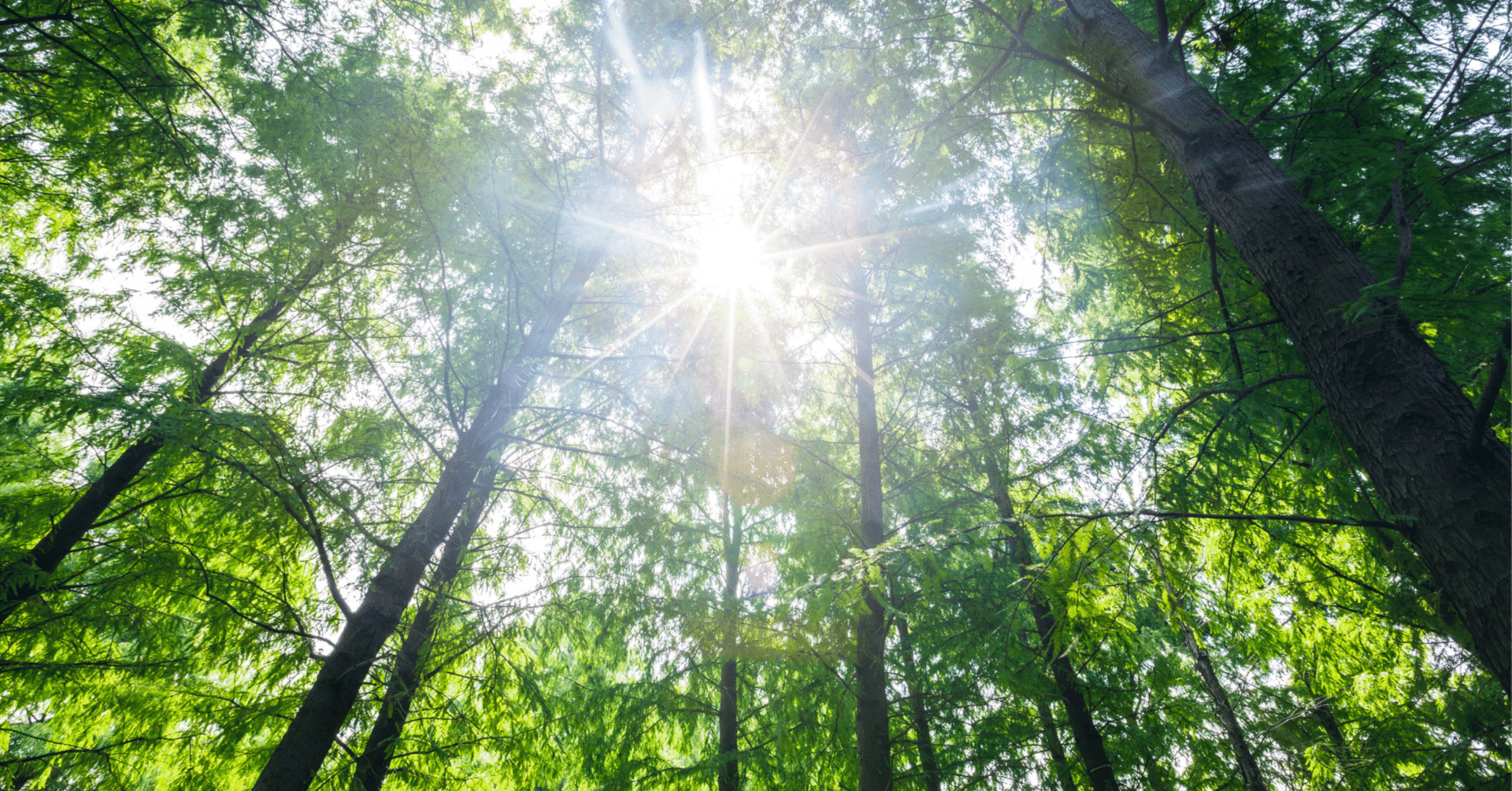 junko.resta /考え方を変えて人生を変えるメンタルアドバイザー｜note