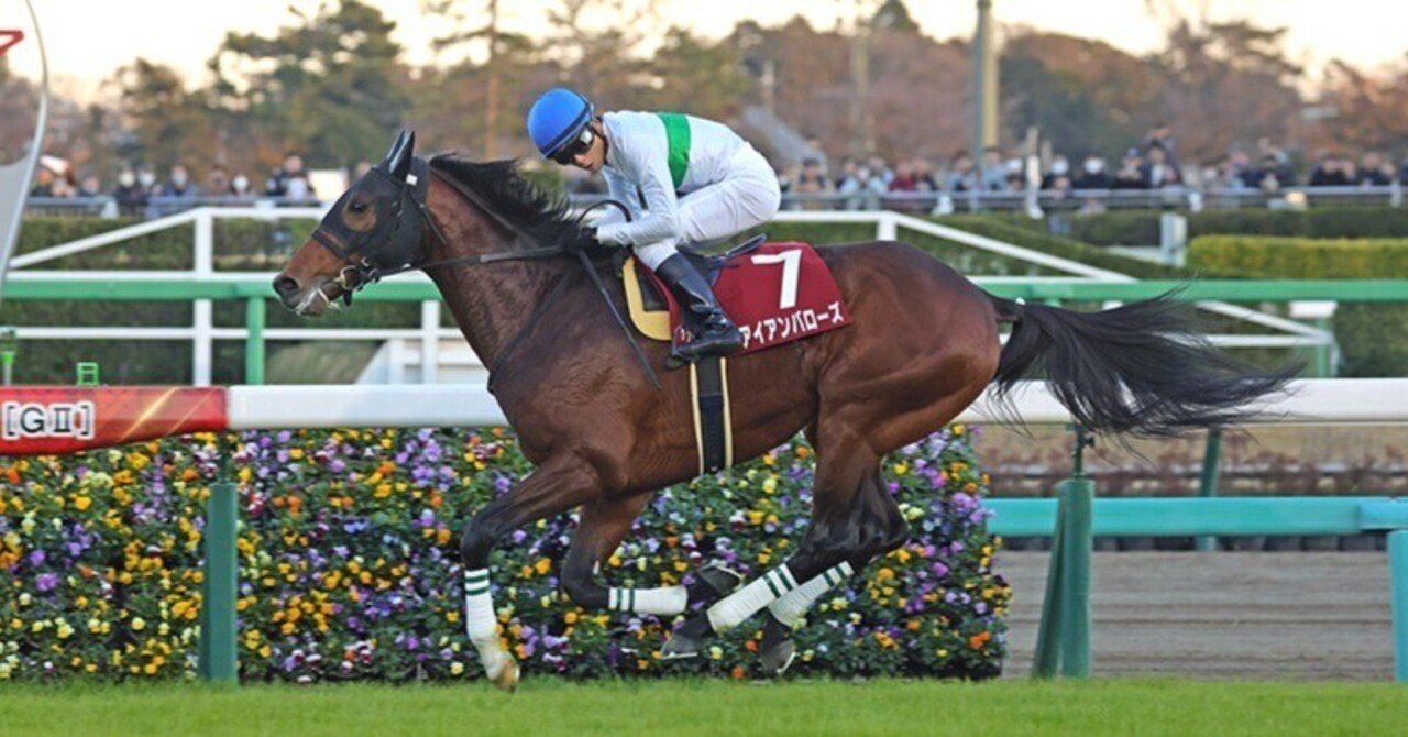 【2024 ステイヤーズS（G2）】日刊馬番コンピ指数分析予想篇｜Haya