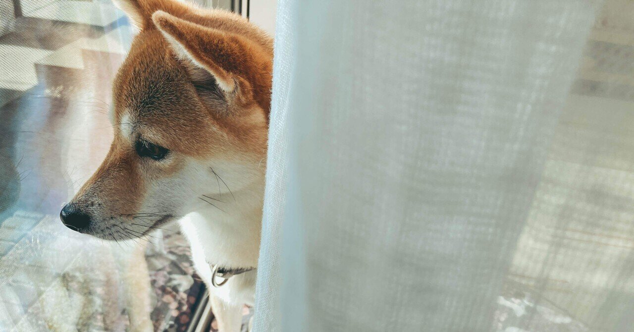 【生活】2年点検と床暖onのタイミング｜723nk