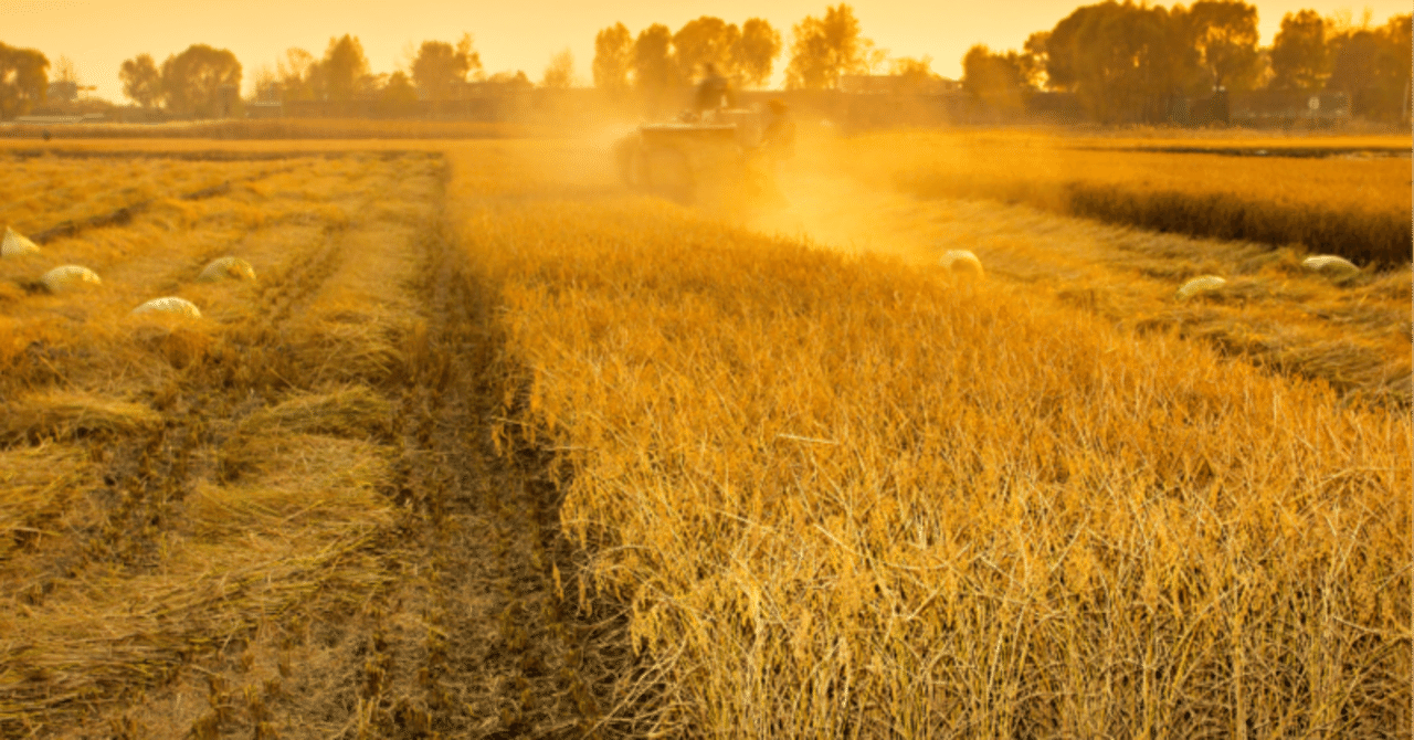 noteも書く占い師 Mako｜note