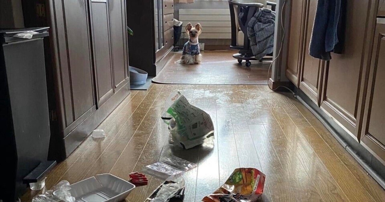 犯人は・・・。｜pr_eiko