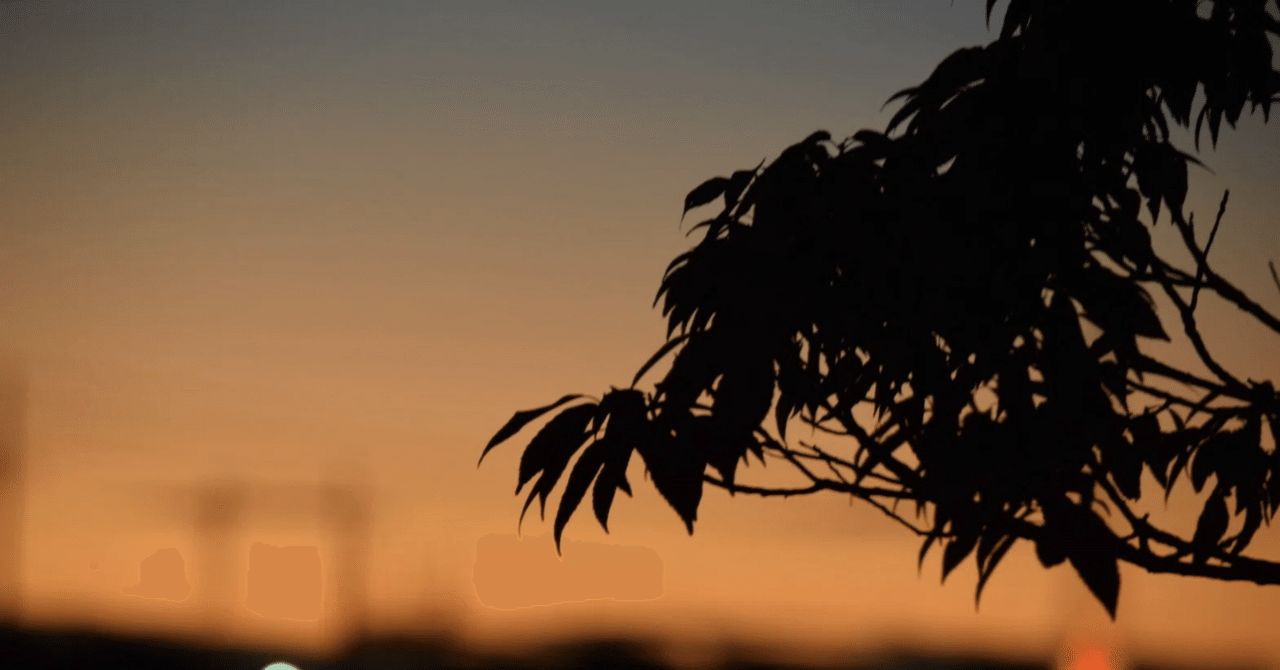 繋がっているんだなと。｜Yuya Kikuchi