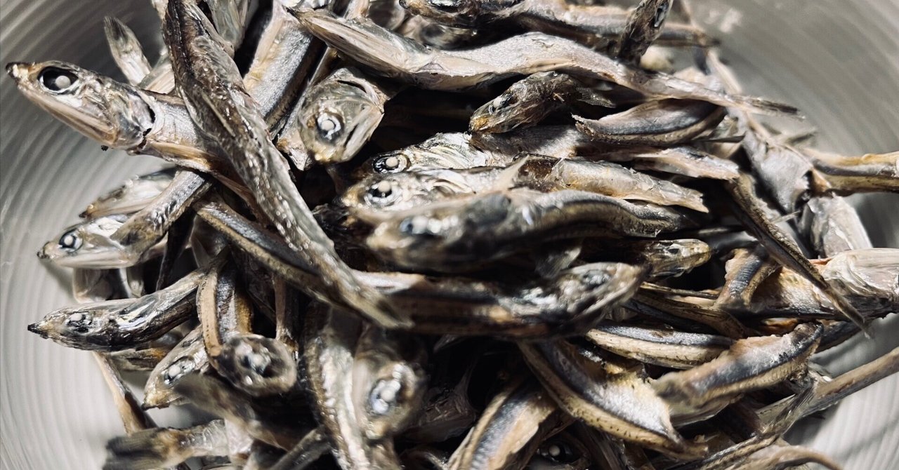 日記（2024/11/18–25）｜ren yoshida