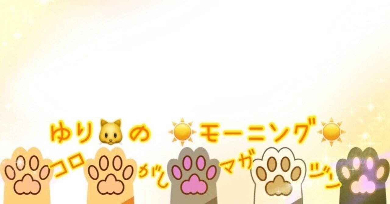 ☀️モーニング☀️👑🐱コロがしマガジン🐱🎰 第1レース🚩1時間前です🐱｜🧡競艇プリンセス🧡ゆり🐱