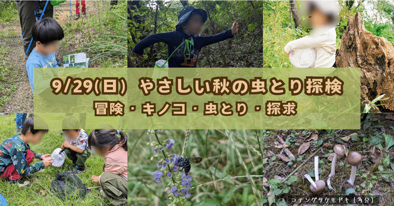 📚体験活動日記 - 子どもの遊び｜kind_to_nature/やさしい小さな自然｜note