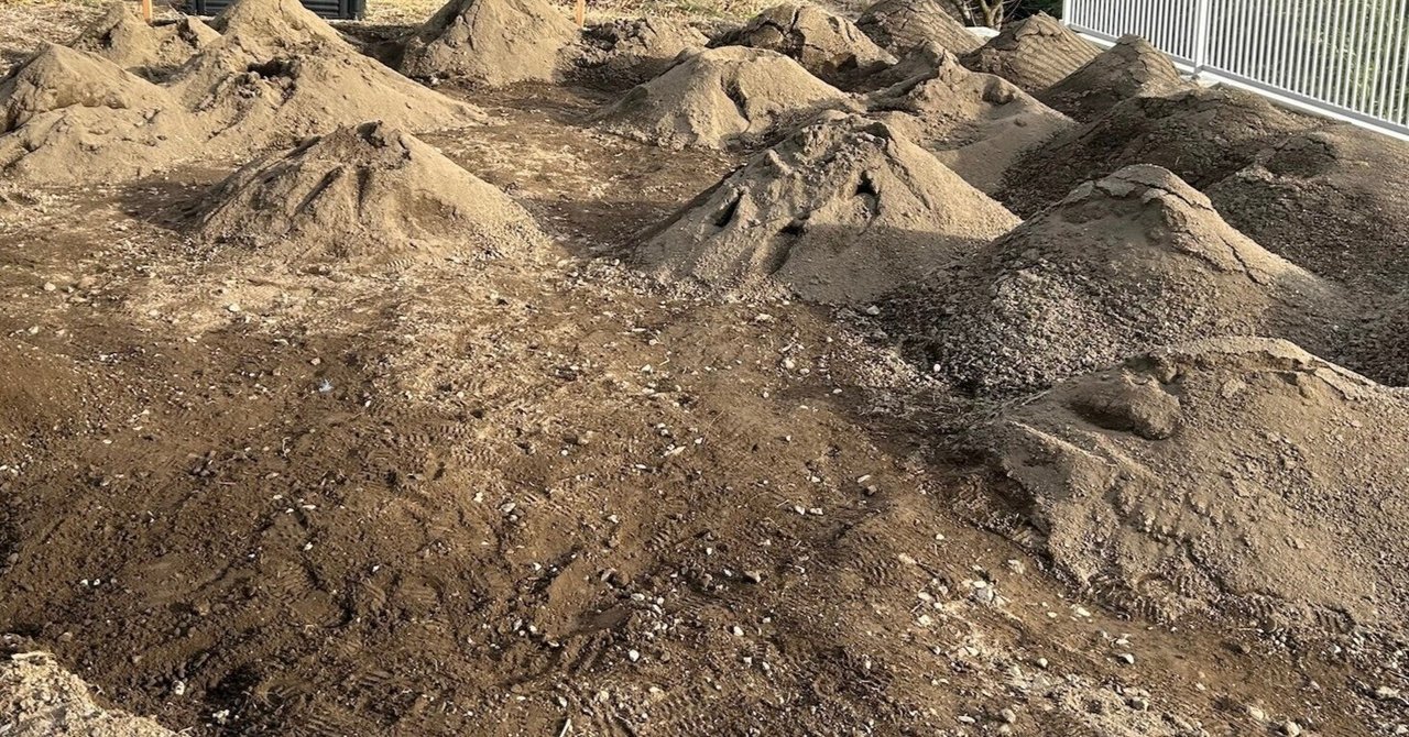 庭の整地、小石の除去、円形花壇の作製【ガーデニング】｜Acemann