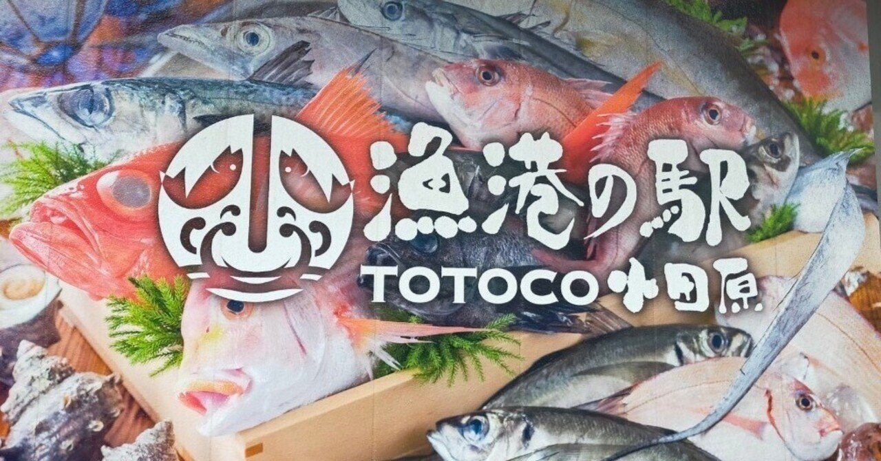 道の駅ではなく漁港の駅！？〜TOTOCO小田原〜｜みずくらげ＠リゾバ