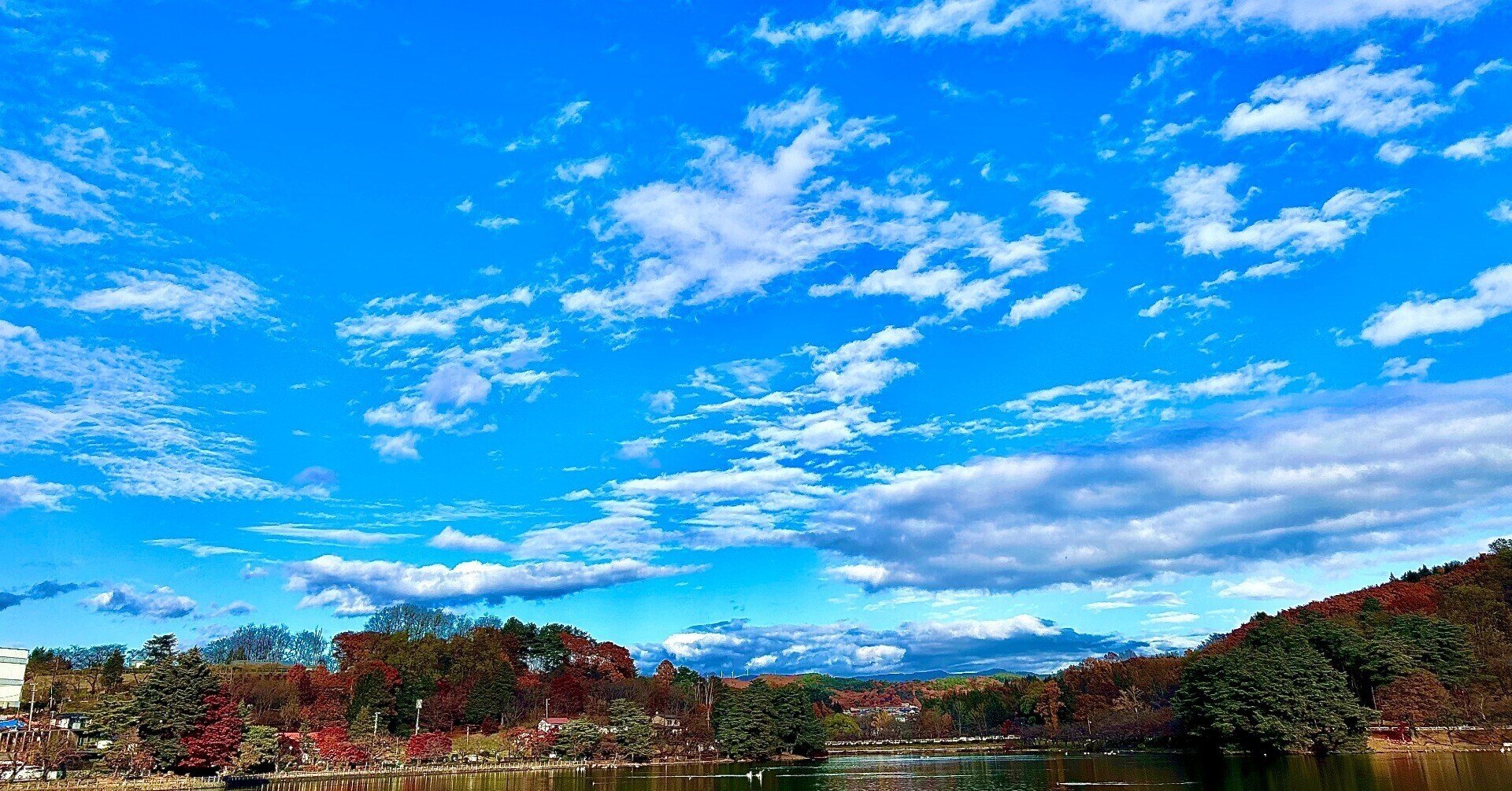 柏崎亮太｜Ryota Kashiwazaki｜note