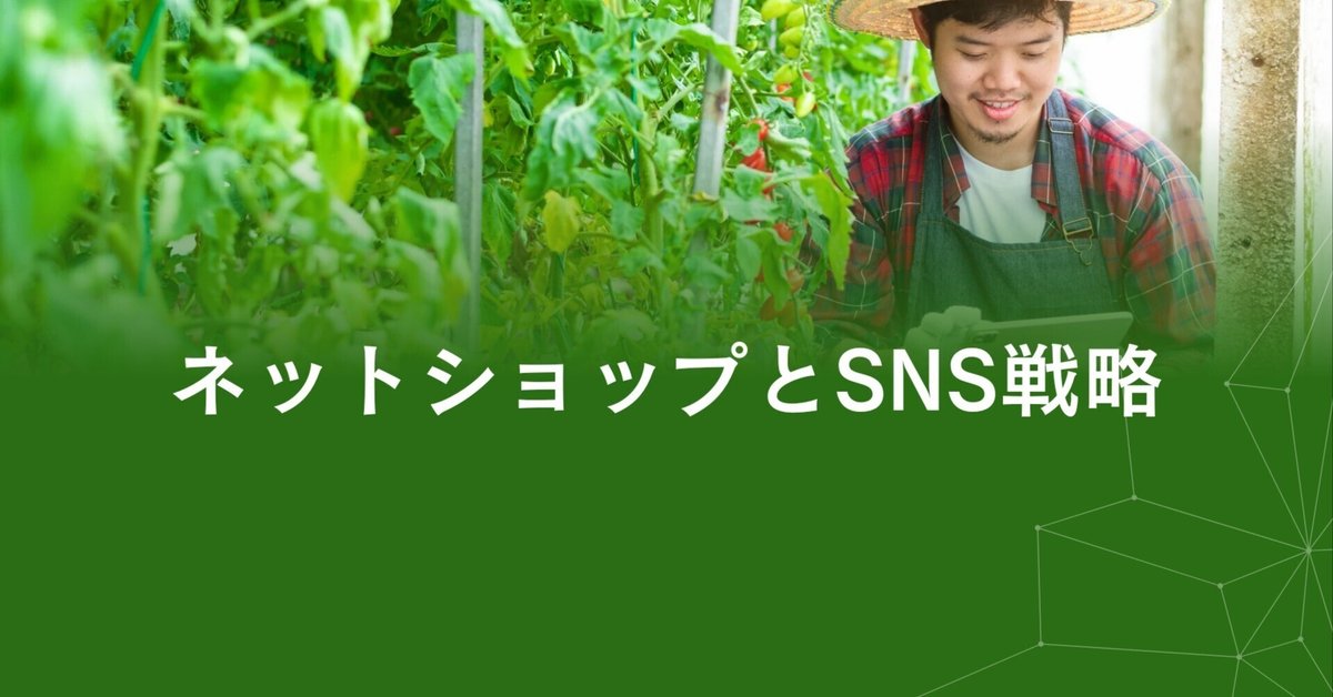 「広告費ゼロで野菜をネット販売！無料ネットショップとSNS活用の戦略と実践術」｜HIRO Creative Studio
