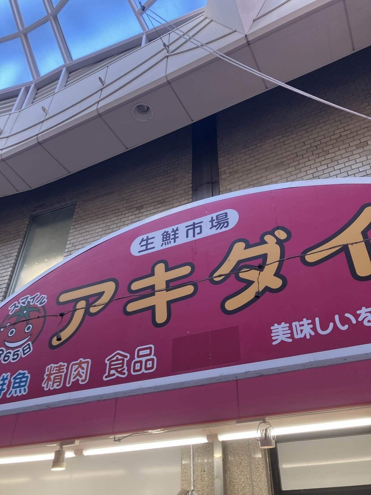 【散歩日記】めちゃくちゃ歩いたね〜(簡単まとめ)｜Twenty【70万PV達成！】