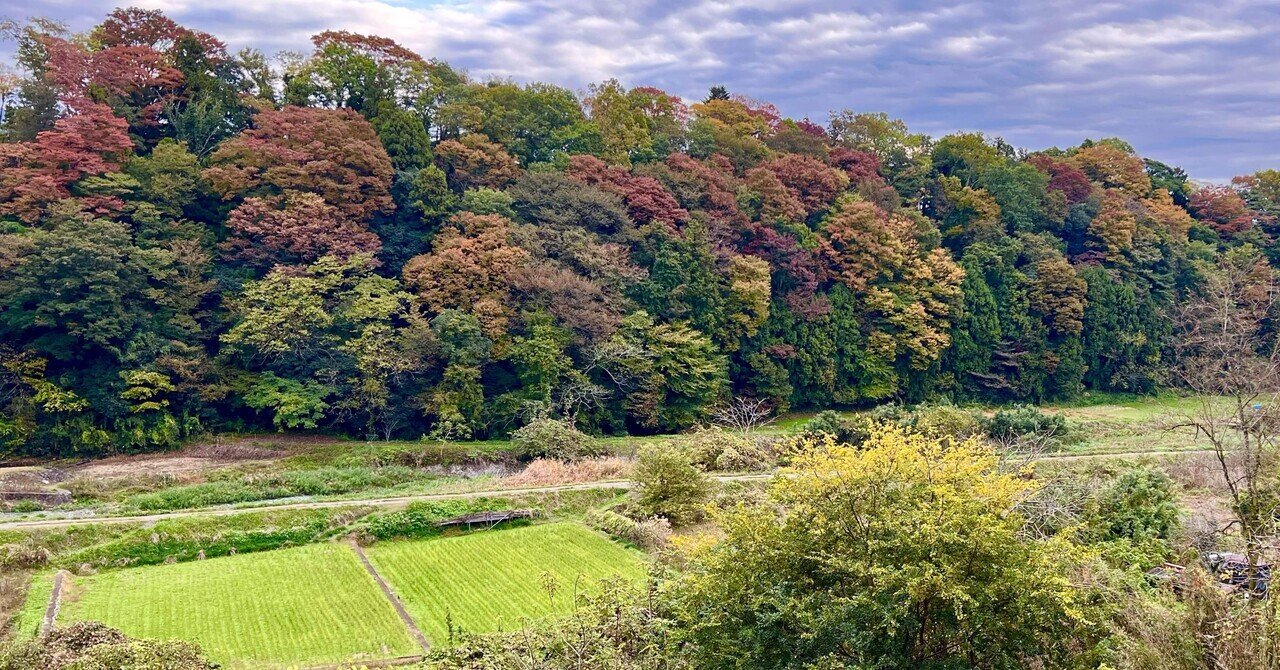 DAY 84 寝坊｜jucon110