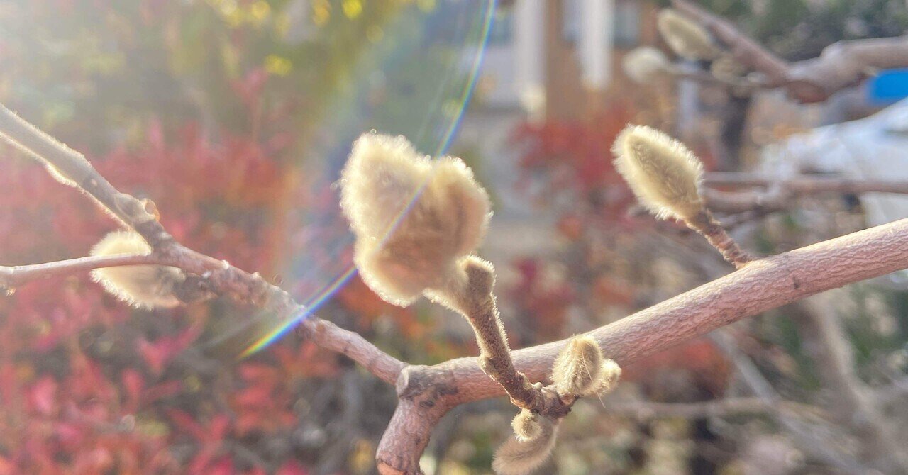 11月23日 #1624｜unico