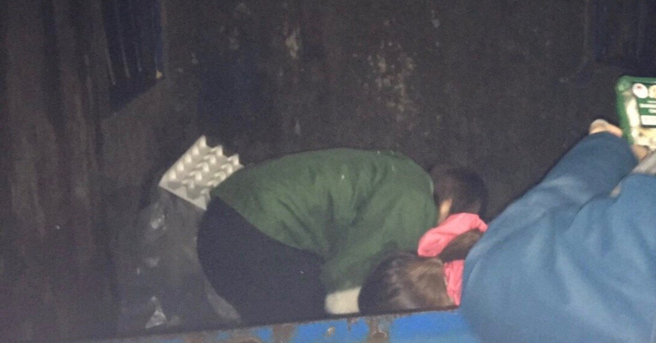 夢のDumpster Diving デビューをしたお話🗑🗑🗑｜Sawa Hashimoto