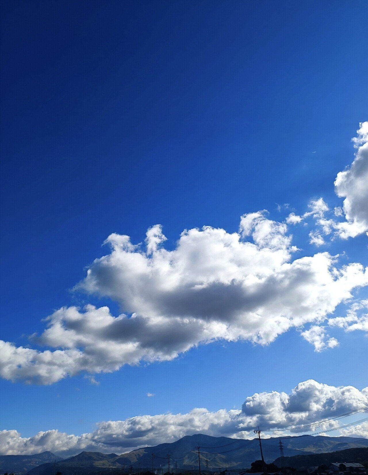 晩秋｜sora_purecolor