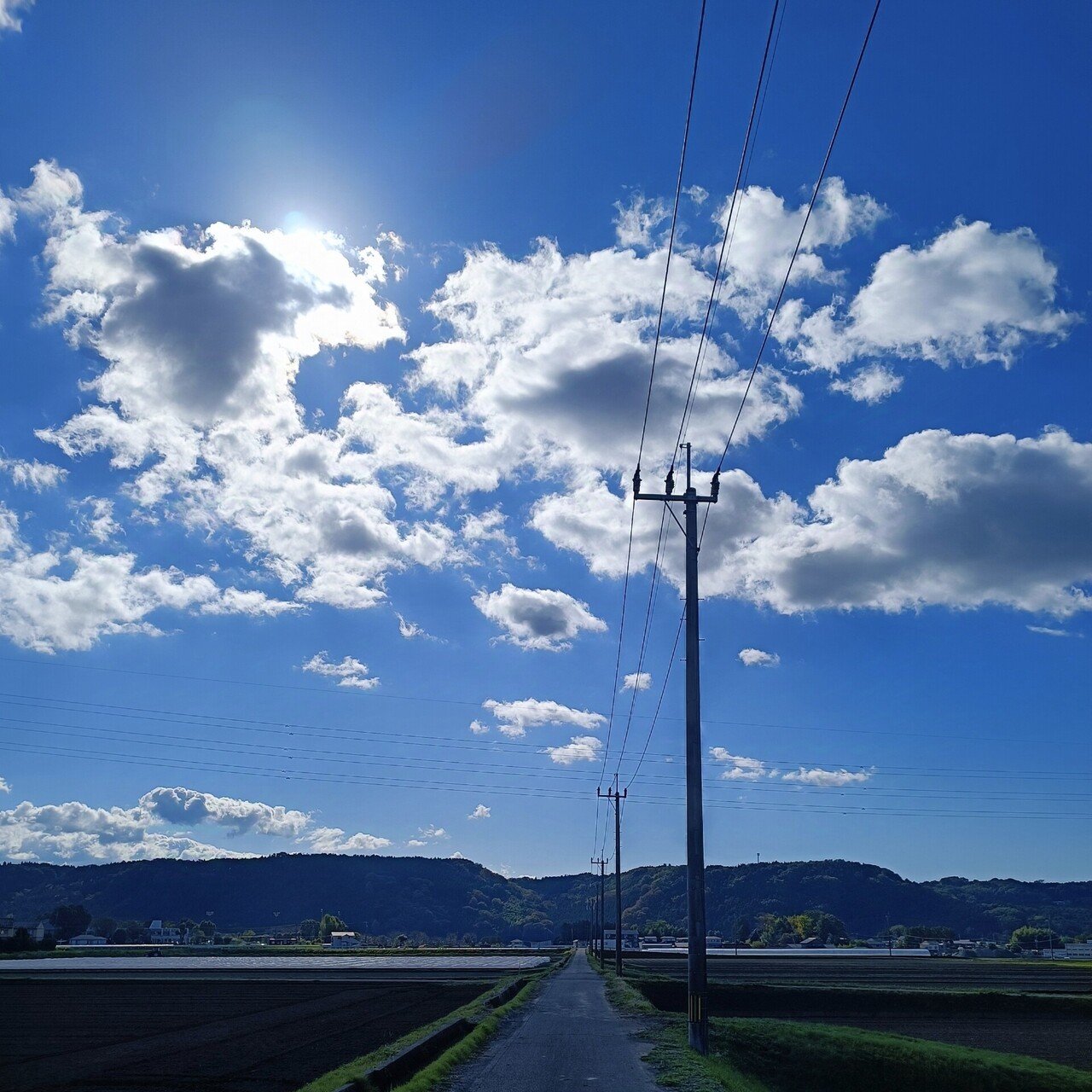 晩秋｜sora_purecolor