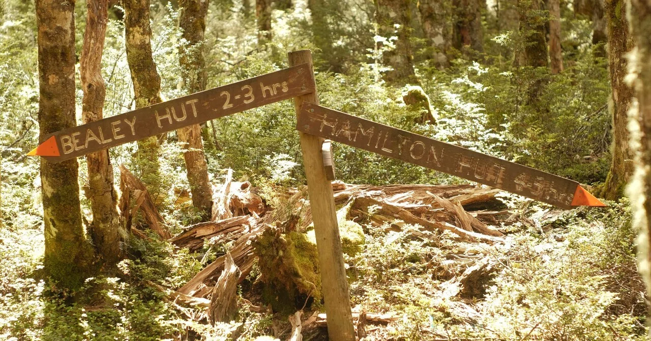 Te Araroa Day 28 #Hamilton Hut｜mt_nekoze