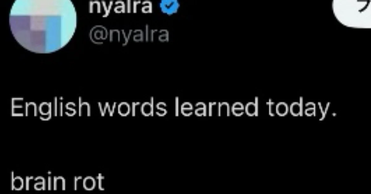 熱量を感じに行っている｜nyalra