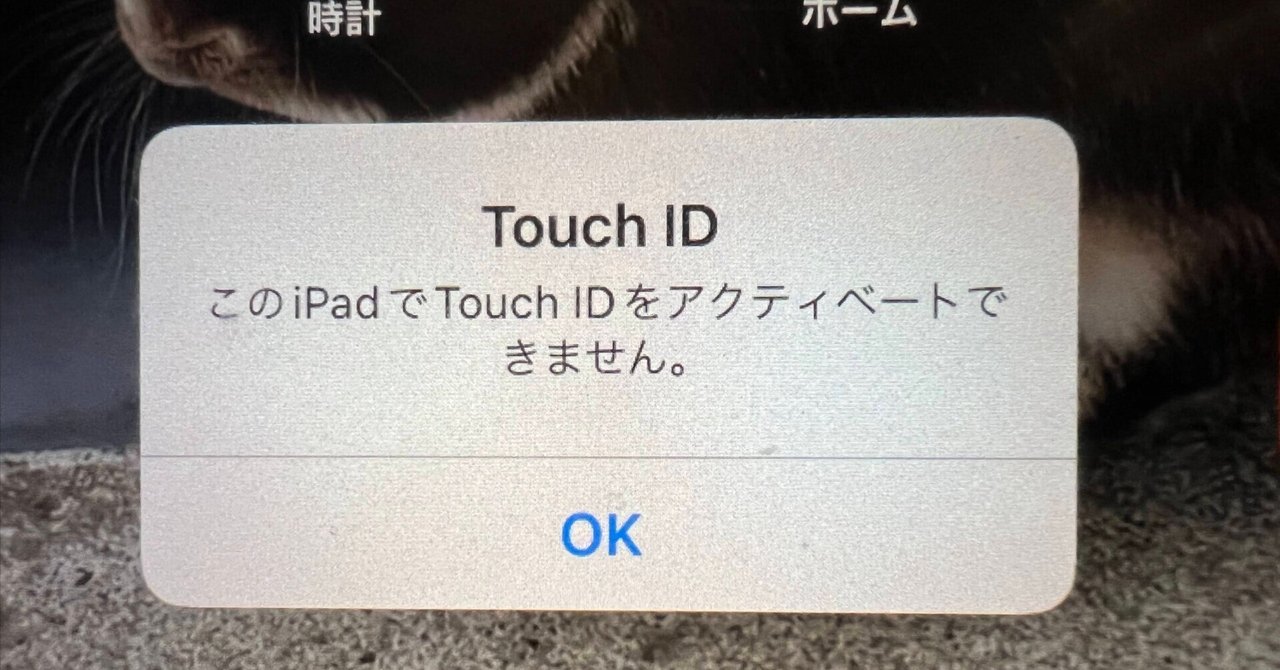 小6むすこのiPadのTouch IDが反応しなかったので対処しました 小6むすこのiPadのTouch IDが反応しなかったので対処しました