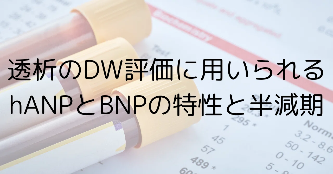 透析のDW評価に用いられるhANPとBNPの特性と半減期｜Yusuke