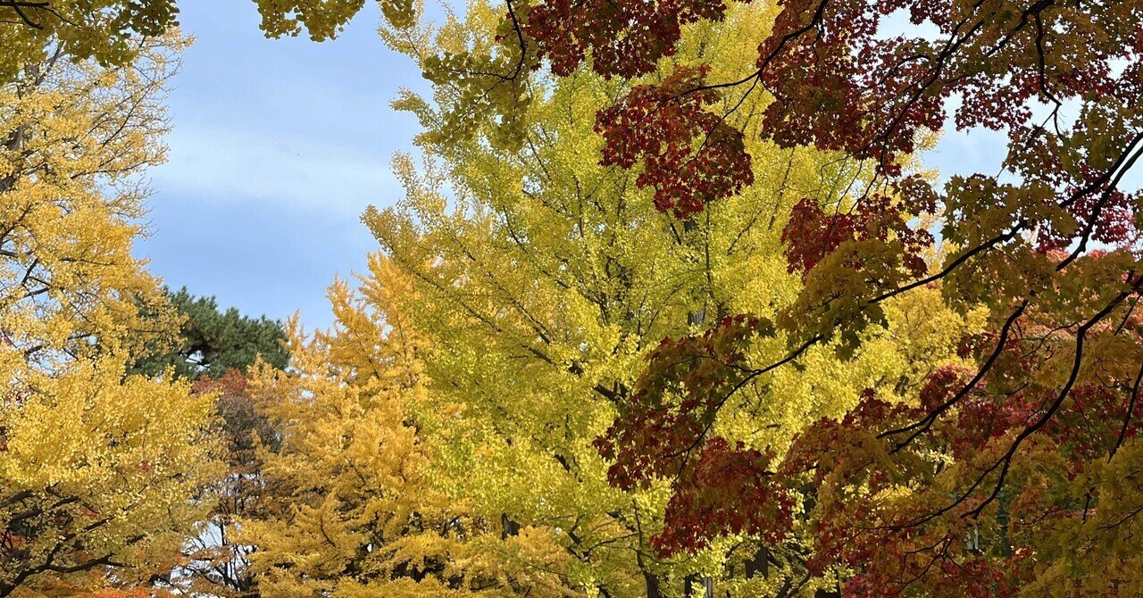 子供との時間｜shun sun