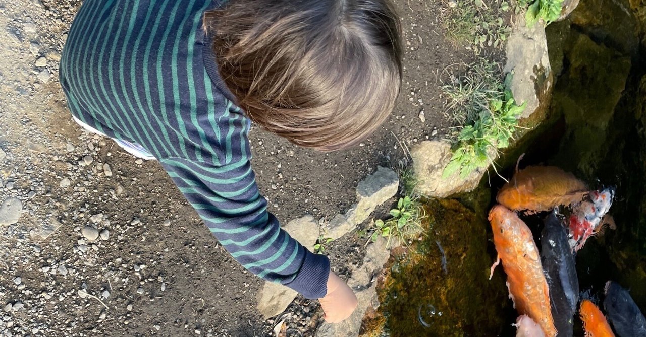 大分県佐伯市に行ってきた ｜marusan_53