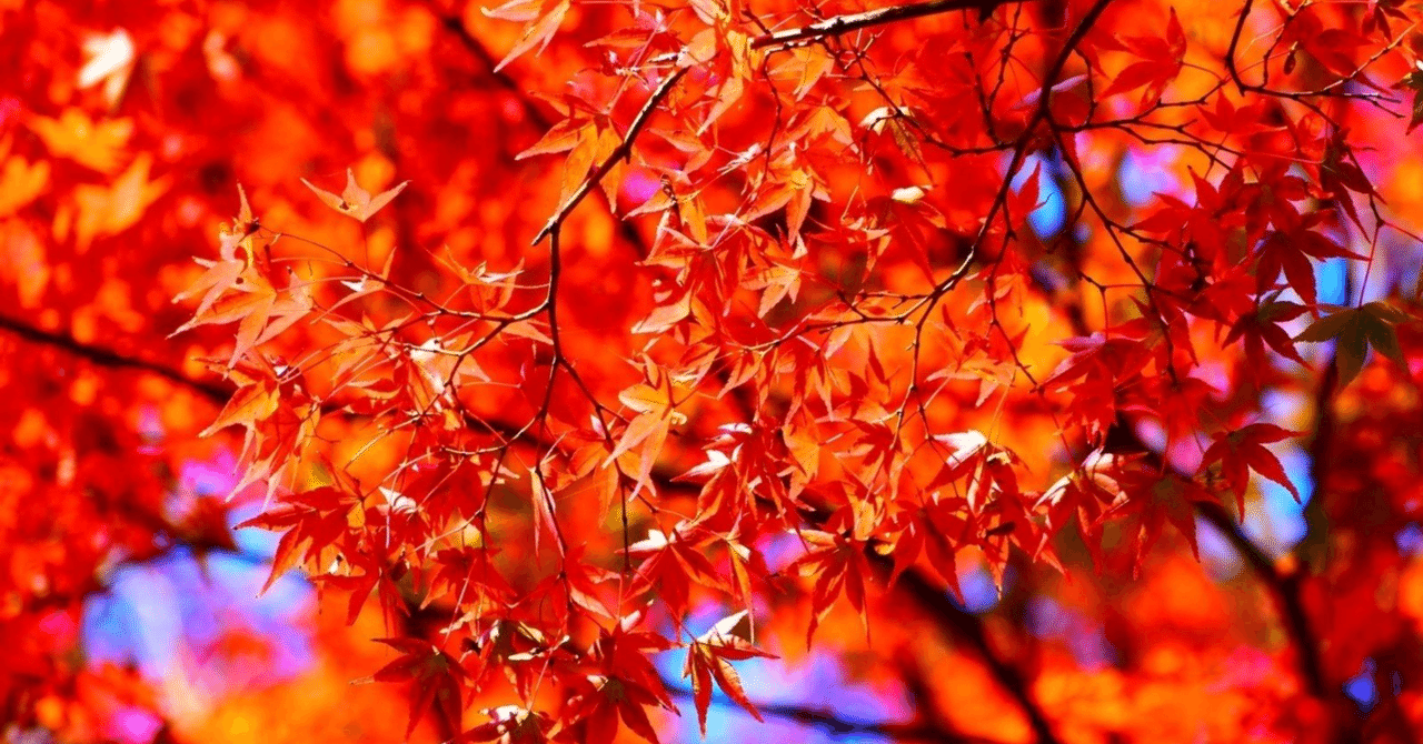 完璧主義辞めたいと思った。｜tegetege