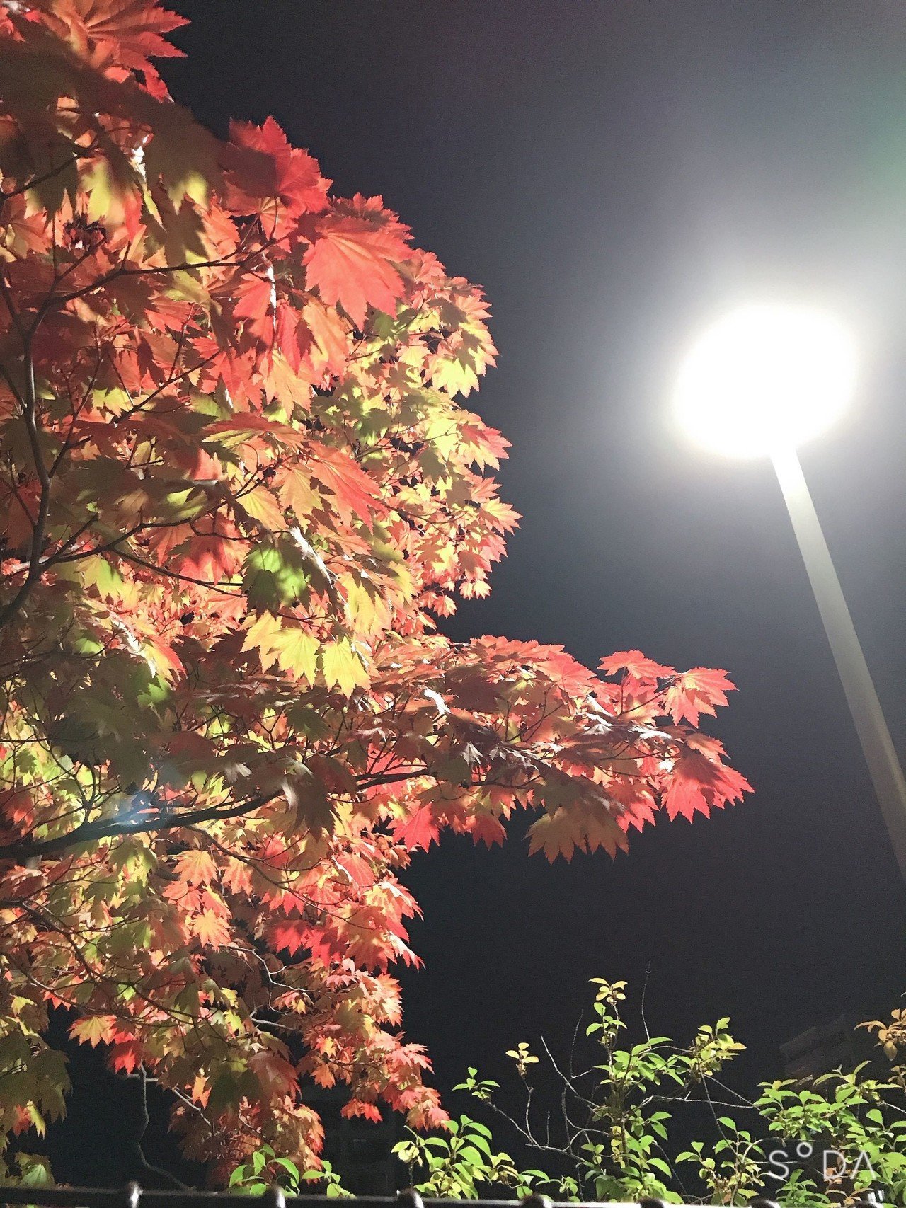 私の中で大切なのは時間 それを前提としてるからか、時間を自分のために使ってくれているのはものすごく嬉しい。 プレゼントや何でも喜んでくれるかな？と たとえ使える使えないよりも、3時間、30分 ...