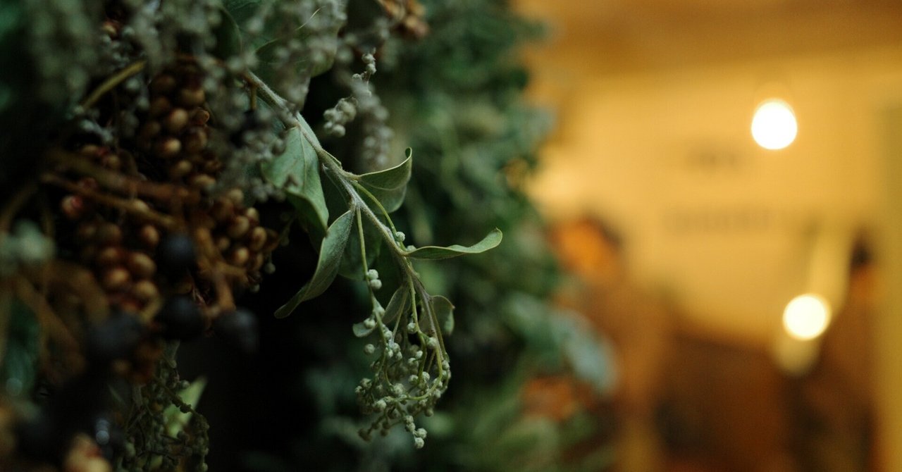 GR3で撮るJoyeux Noël 2024 at eimeku｜NUE (OPUESTO, A.I.G.B / I.A.C)