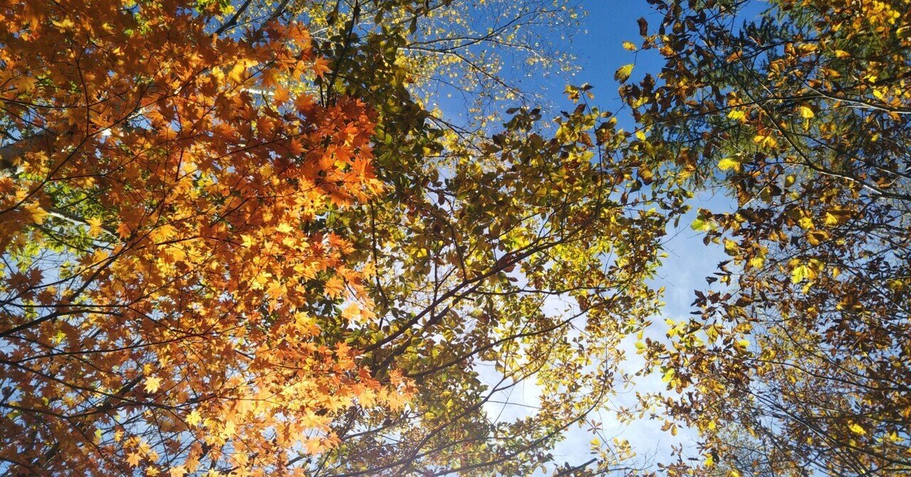 人に会いたくないと思っても大丈夫｜Riho