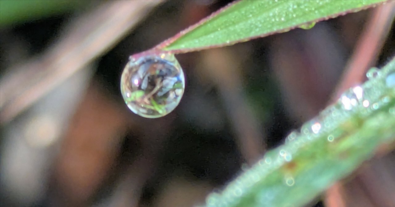 笑ったり泣いたり驚いたり｜ichiro70