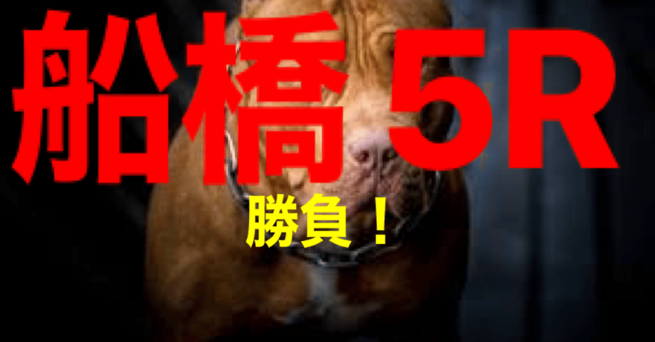 船橋5R勝負！｜パドック師匠【PD master】公式🌐