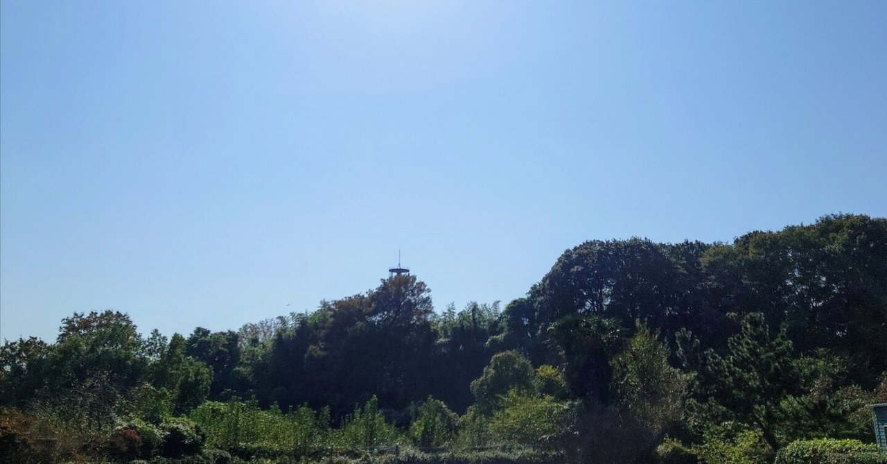 【連載小説#41】（十回目）｜shichi_mibu