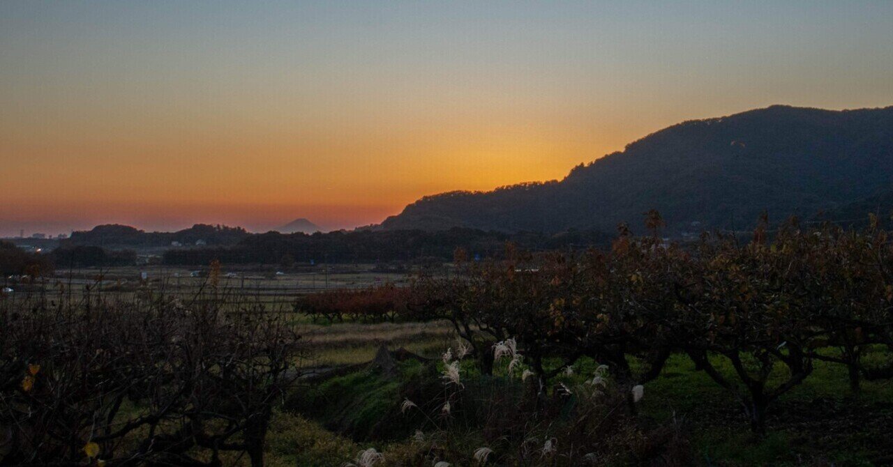 今日の写真 2024/11/25 Komachi Fuji｜杉原 順／Jun Sugihara／ス・ギー