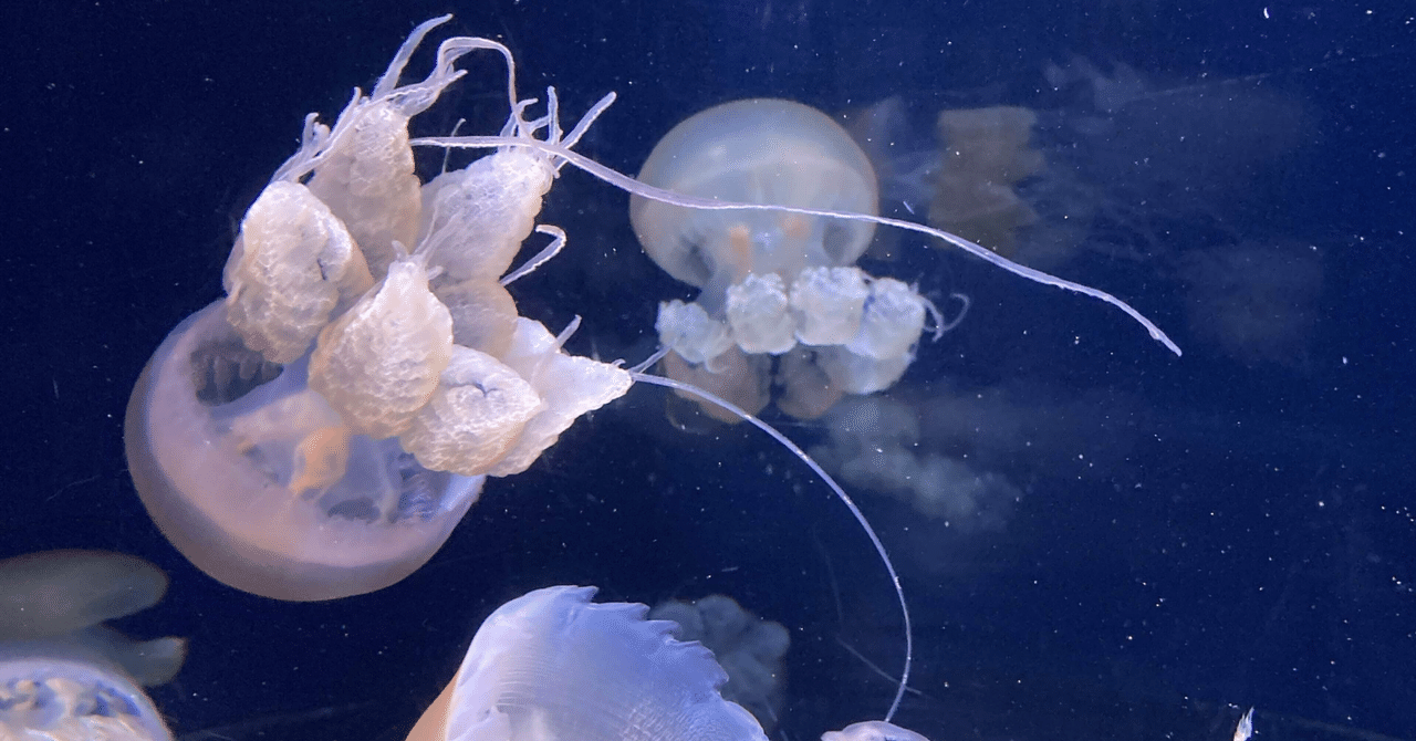 SNSにおけるブロック機能の使い分けについて｜Chiko🐣