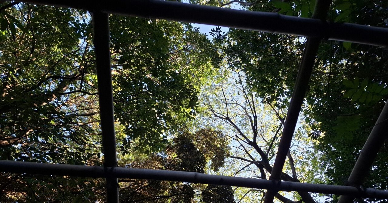 何をも通さず｜kitoma