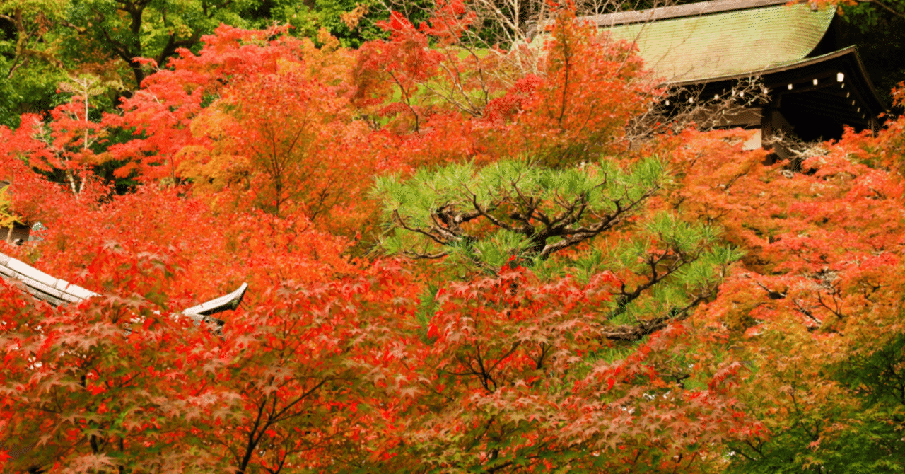 中高年フリーターでもよいのでは？｜Rumi Kusunoki